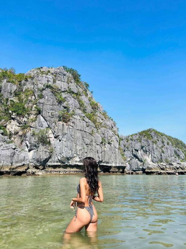 Con Dao Night Turtle Watching And Coral Snorkeling Eco Tour - Who Will Love This Tour