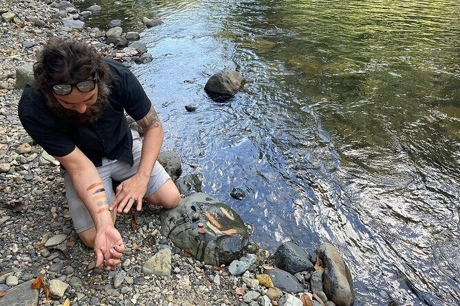 Concrete Jungle to the Actual Jungle, The Complete Package Tour - Key Points