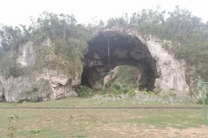 Concrete Jungle to the Actual Jungle, The Complete Package Tour - The Value and Who Will Love This Tour