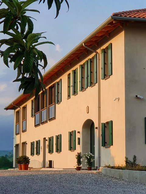 Conegliano: Prosecco Hills and Vineyards tour - The Itinerary and What You Can Expect