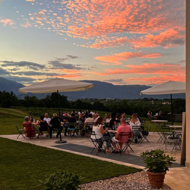 Conegliano: Prosecco Hills and Vineyards tour - Authentic Experiences That Resonate