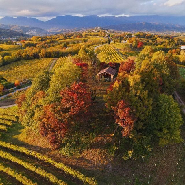 Conegliano: Prosecco Hills and Vineyards tour - Who Is This Tour Perfect For?