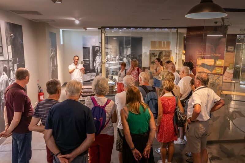 Confiserie du Roy René: gourmet guided tour of the calisson museum - Who Will Love This Tour?
