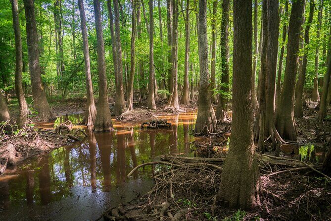 Congaree National Park Self Guided Audio Walking Tour - FAQ