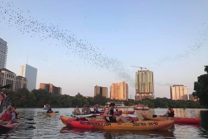 Congress Avenue Bat Bridge Kayak Tour in Austin - Final Thoughts