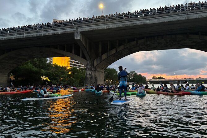 Congress Avenue Bat Bridge Paddleboard Tour - A Deep Dive into the Congress Avenue Bat Bridge Paddleboard Tour