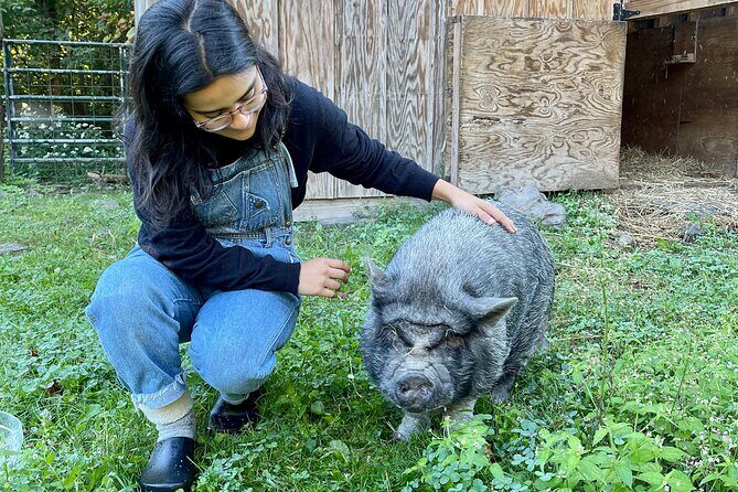 Connect with Rescue Animals on a Private Farm Tour in Catskills - Practical Details and Tips