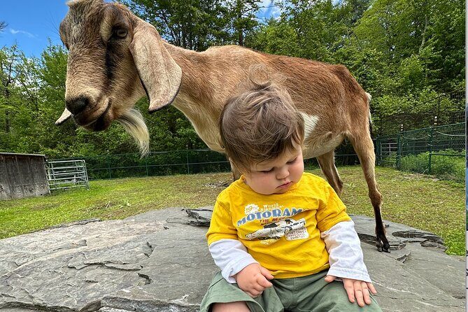 Connect with Rescue Animals on a Private Farm Tour in Catskills - Frequently Asked Questions