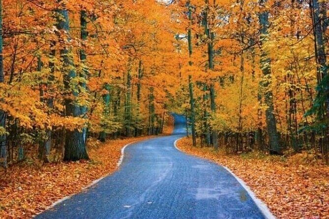 Connecticut Maple Foliage 1 Day Tour From New York - The Itinerary Breakdown