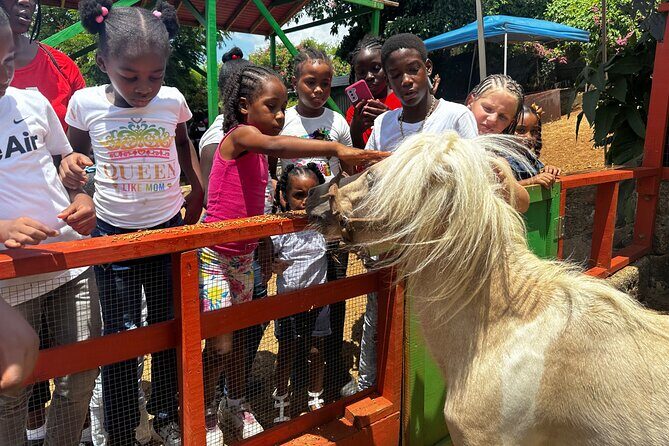 Connors Farms Petting Zoo - What Is Connors Farms Petting Zoo?