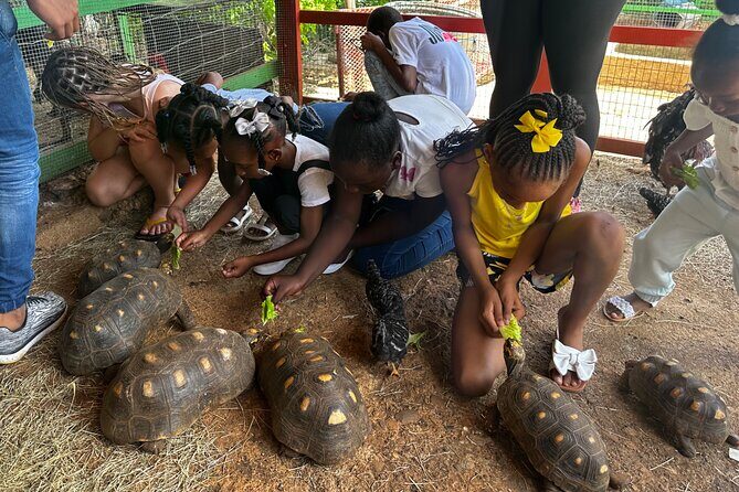 Connors Farms Petting Zoo - The Good and the Not-So-Good