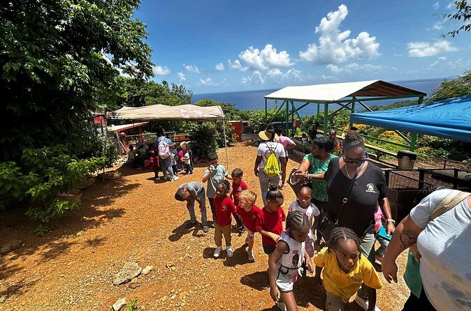 Connors Farms Petting Zoo - Who Is This Tour Best For?