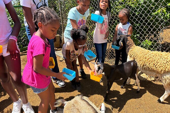 Connors Farms Petting Zoo - Final Thoughts