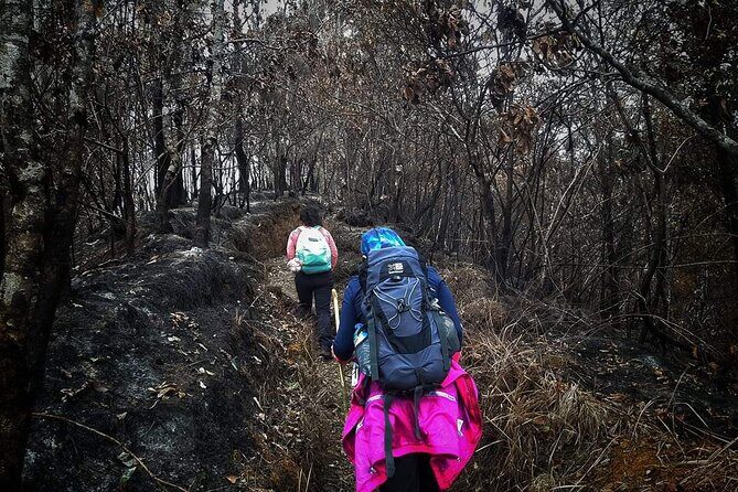 Conquer Mount Rinjani Second Summit: A 2-Day, Lombok-Indonesia - Final Thoughts