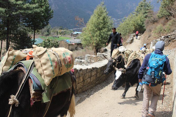 Conquer the Majestic Ama Dablam Base Camp: A Trekker's Paradise - Descent and Return: Traversing Khumjung and Phakding