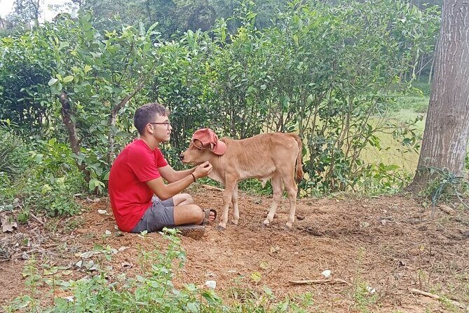 Conquering Duck massage at Duck Farm by Bicycle Tour - Final Thoughts