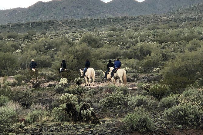 Contact us to book your time. Best Trail Rides in Arizona. - Logistics and Practical Details