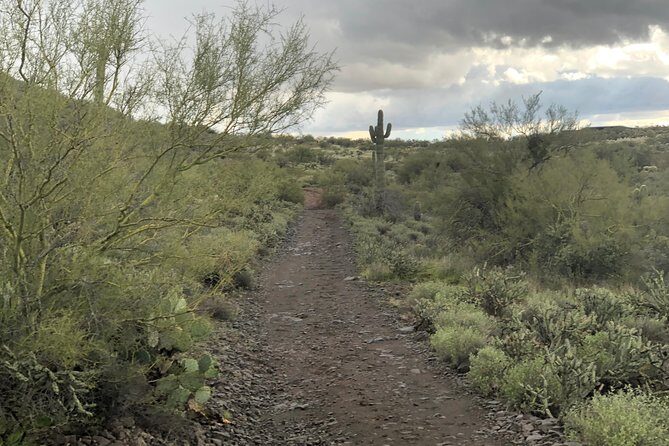 Contact us to book your time. Best Trail Rides in Arizona. - Final Thoughts: Who Is This Tour Best For?