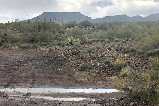 Contact us to book your time. Best Trail Rides in Arizona. - FAQ
