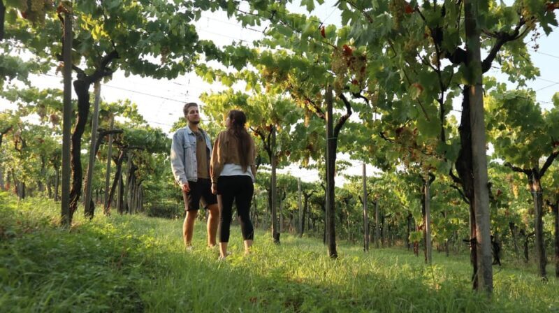 Contadina Breakfast at a Farm - 30 min from Rome - The Practicalities and Considerations