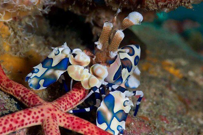 Continue your education with the Advanced Open Water Diver course - 2 days - What to Expect from the 2-Day Course