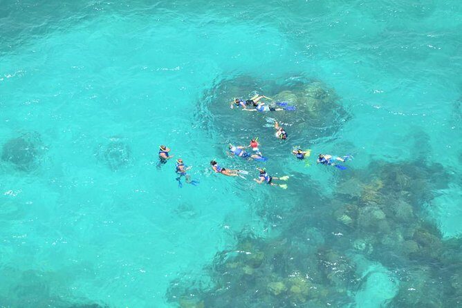 Contoy Caribbean Adventure! Round Transportation from Cancun - Authentic Experiences and Honest Feedback