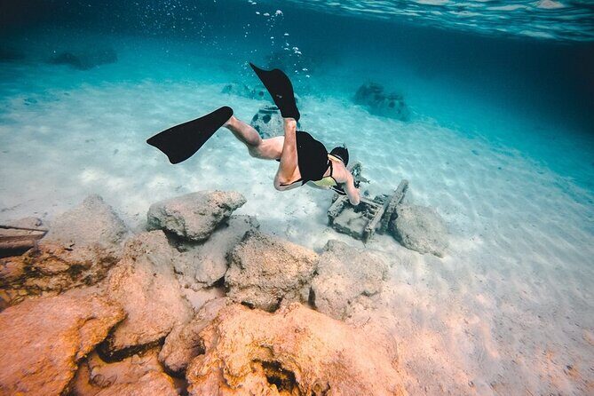 Contoy Island & Isla Mujeres Adventure from Cancun - Final Thoughts: Is It Worth It?