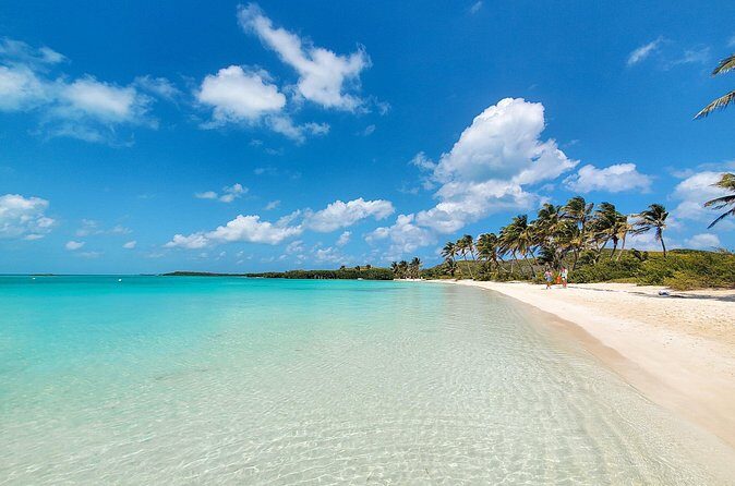 Contoy Island Tour with Untouched Paradise and Beach Day - Final Thoughts: Who Should Consider This Tour?