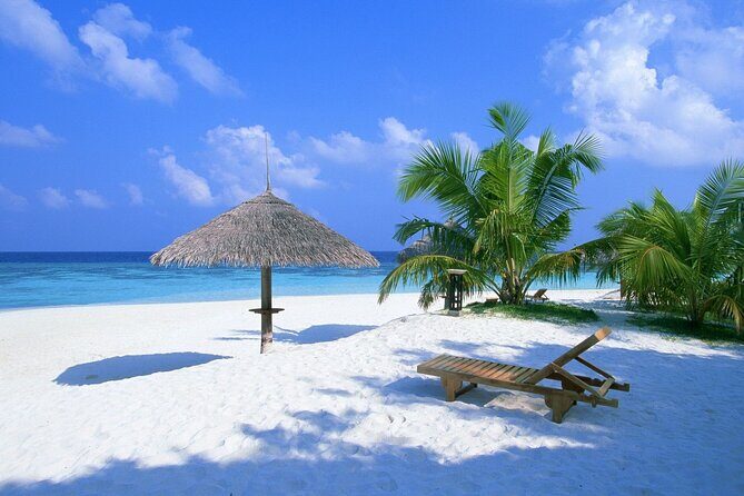 Contoy Reef & Isla Mujeres Tour! From Cancun & Playa del Carmen - An In-Depth Review of the Contoy & Isla Mujeres Experience