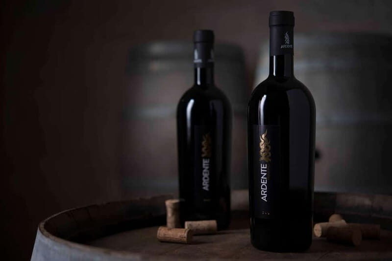 Conversano: wine tasting tour in the winery - Discovering the Wine and the Land