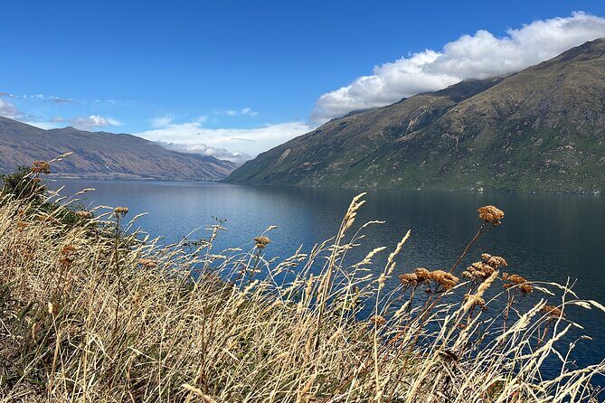 Convertible Picnic Tour Queenstown - Why This Tour Matters in Queenstown