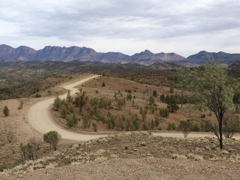 Coober Pedy: 7-Day Lake Eyre & Flinders Ranges 4WD Tour - Discovering the Flinders Ranges and Arkaroola
