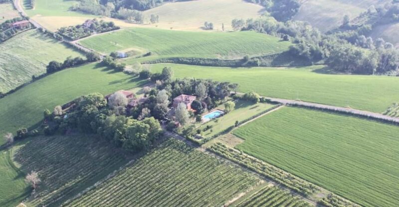 Cook Bolognese Dishes in a Splendid Villa - Who Should Consider This Tour?