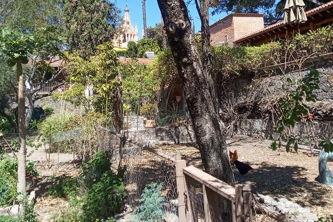 Cook & Dine | Make Authentic Mexican Mole and Salsas in San Miguel de Allende - The Experience: Authenticity and Enjoyment