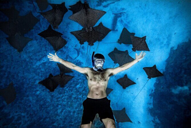 Cook Islands Turtle and Ray Tour - An Authentic Rarotonga Snorkeling Experience