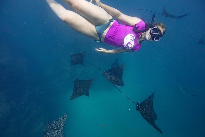 Cook Islands Turtle and Ray Tour - Who is This Tour Best For?