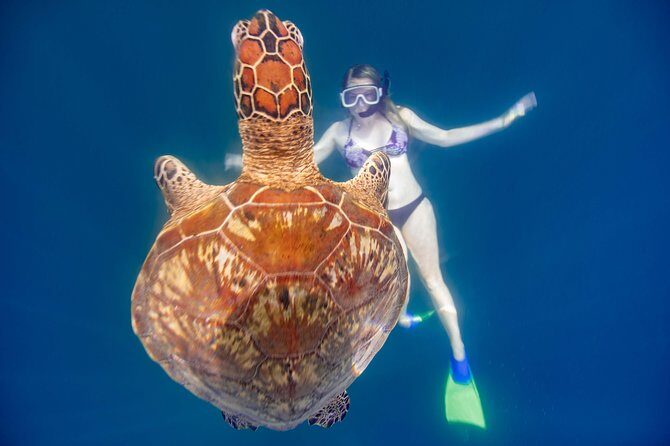 Cook Islands Turtle and Ray Tour - Final Thoughts