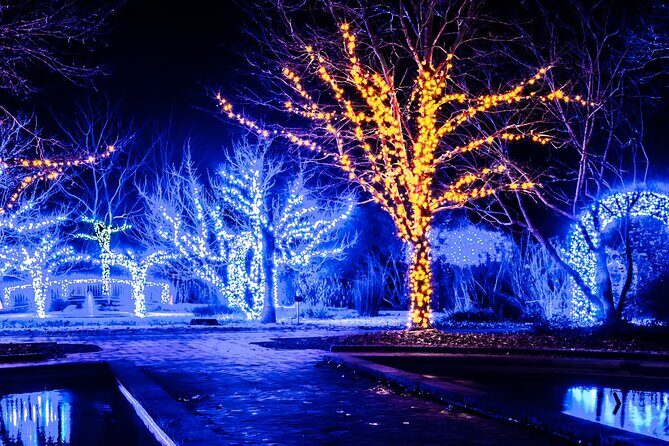 Cookeville Christmas Lights Luxury Tour in the RoadStallion - A Cozy, Festive Ride Through Cookeville’s Holiday Lights