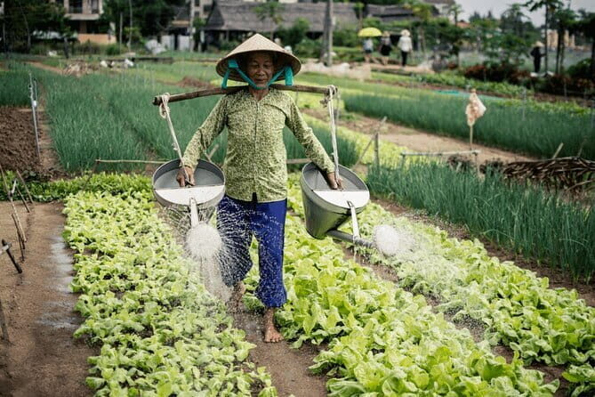 Cooking Class at Tra Que Village in Hoi An - Value and Practical Considerations