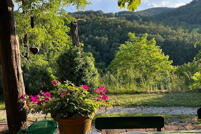 Cooking Class for Pasta Lovers in Florence Country House - Introduction: An Authentic Tuscan Culinary Escape