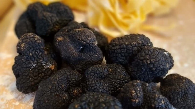 Cooking class of Spoleto recipes, with Chef Stefano - An In-Depth Look at the Experience