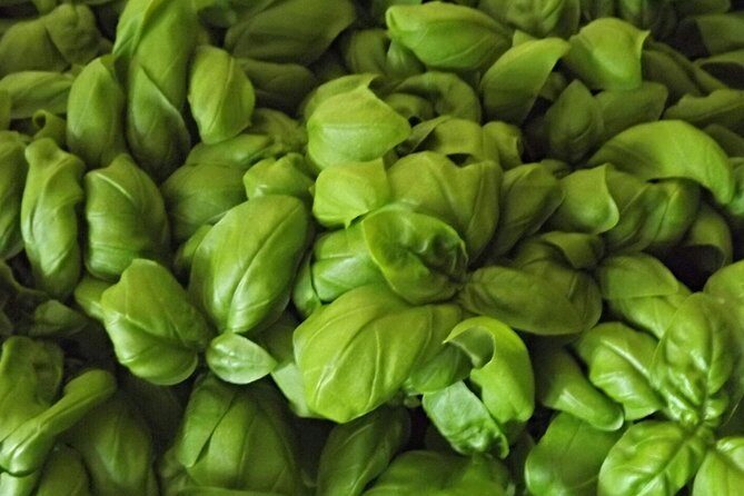 Cooking Class Pesto Sauce - What the Tour Includes and How It’s Structured