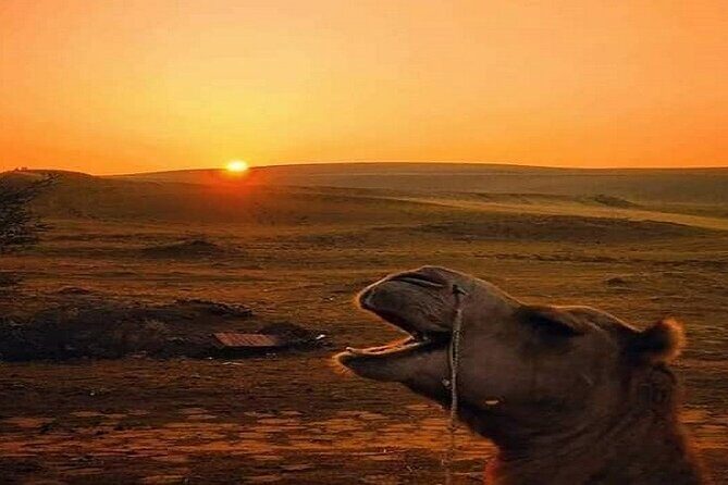 Cooking Class With Indian family - Practical Details