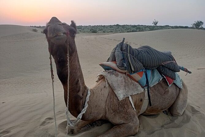 Cooking Class With Indian family - The Sum Up