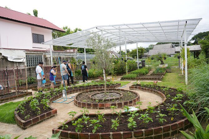 Cooking Class with Organic Farm in Chiang Mai at Mama Noi - Key Points