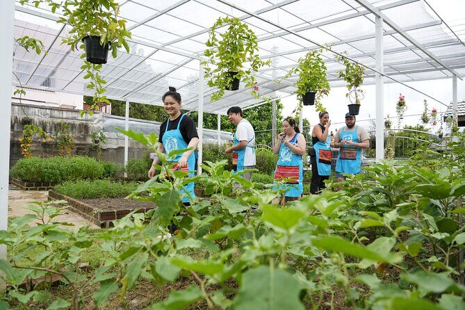 Cooking Class with Organic Farm in Chiang Mai at Mama Noi - The Reception and Authenticity