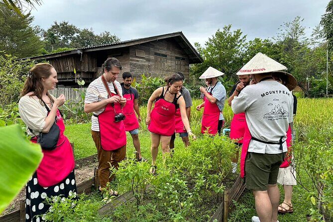 Cooking Class with Organic Farm in Chiang Mai - Cooking Class with Organic Farm in Chiang Mai: An In-Depth Review