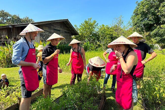 Cooking Class with Organic Farm in Chiang Mai - Price and Value