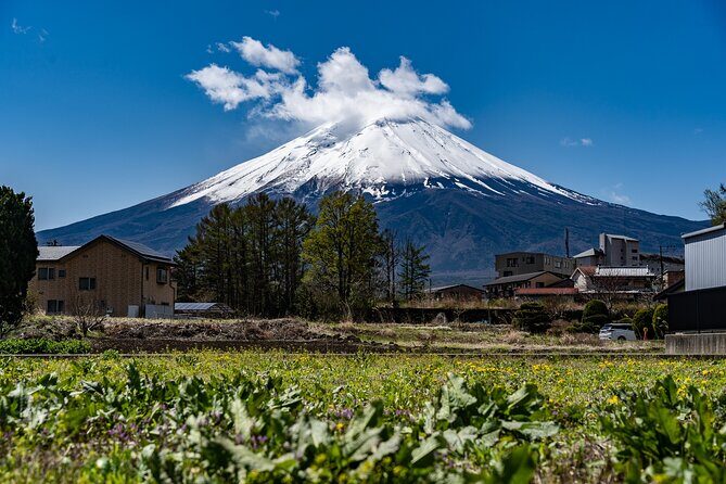 Cooking Hoto Udon Noodle Tour in Mt.Fuji Area from Tokyo - Key Points
