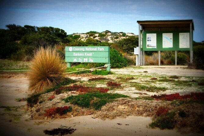 Coorong 3 & 1/2 Lunch Cruise and Tour - An In-Depth Look at Your Day